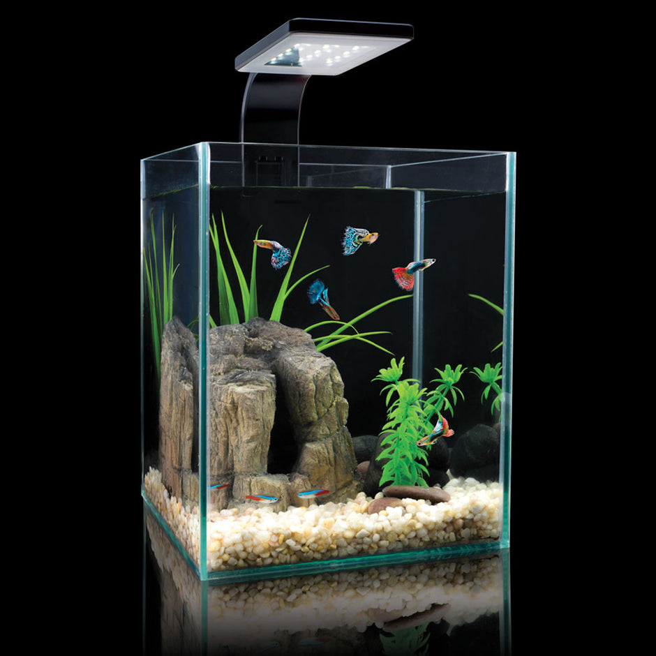 Providing Made in the USA fish foods and quality aquarium products!