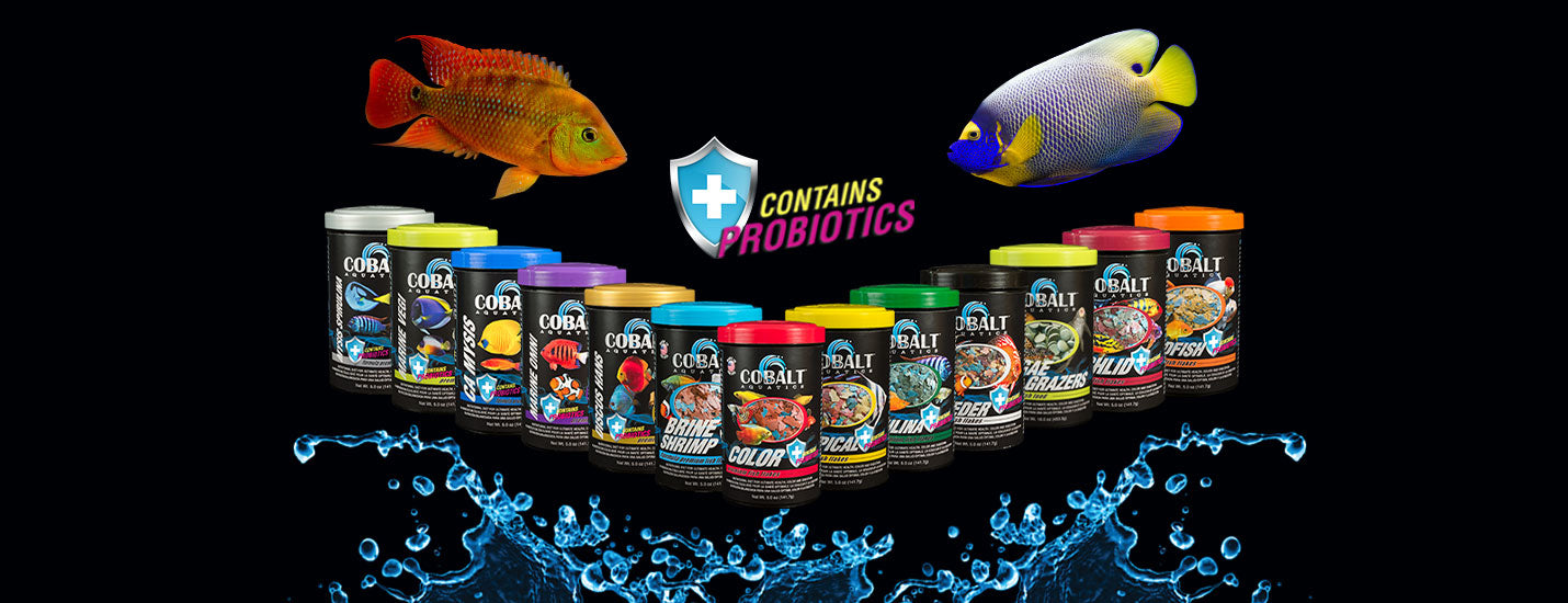 Providing Made in the USA fish foods and quality aquarium products!